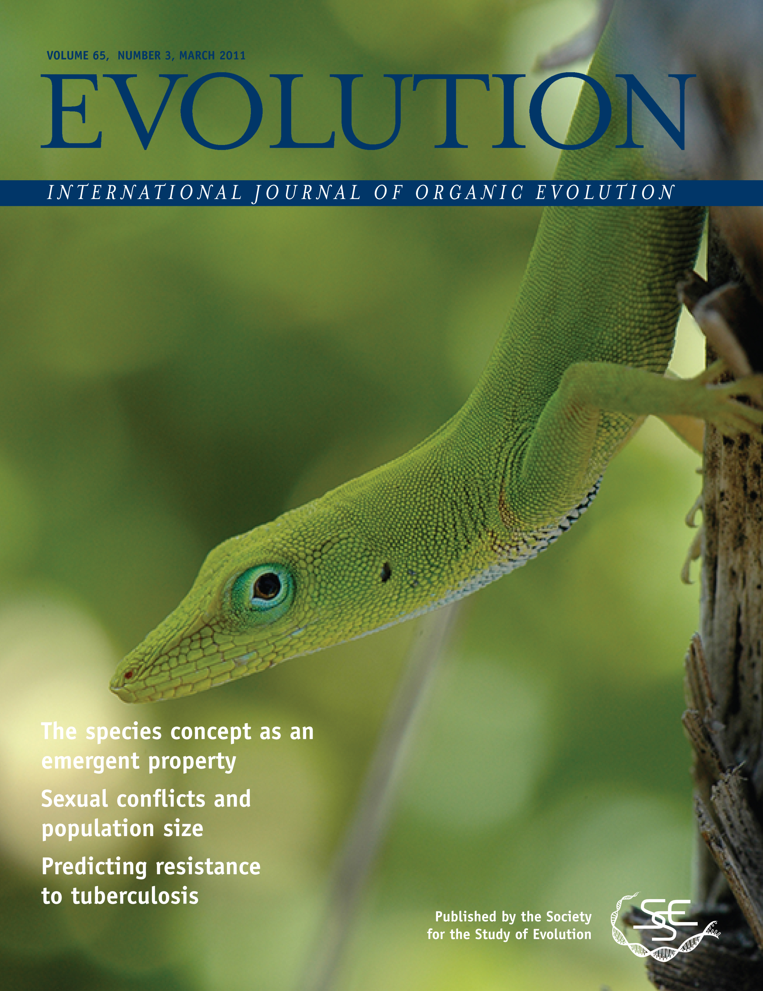 Anoles Rule Anole Annals