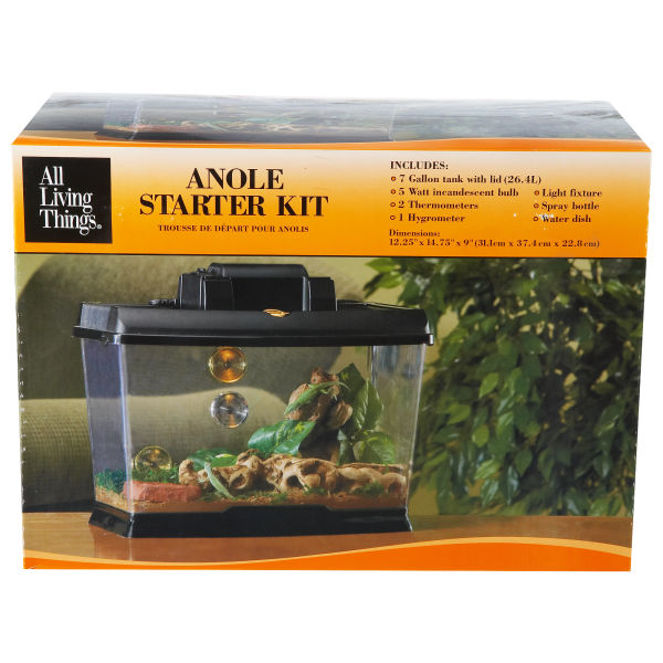 Green Anole Tank