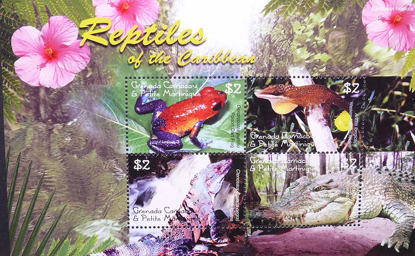A_longiceps Reptiles of the Caribbean stamp – Anole Annals