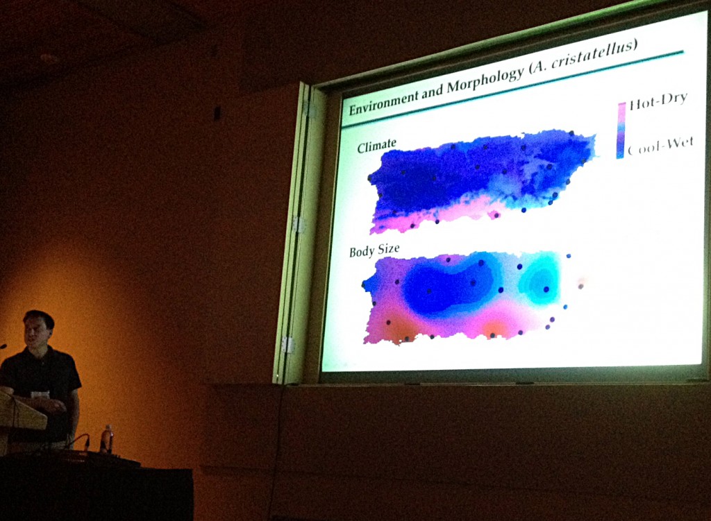 Evolution 2013 Isolation By Environment In Anoles Anole Annals