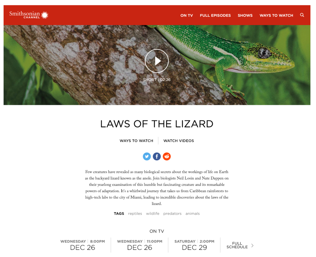 Laws of the Lizard Premieres on the Smithsonian Channel Next Week ...