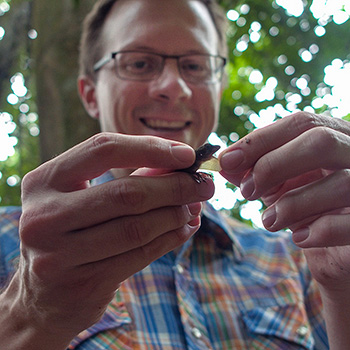 Luke Mahler – Anole Annals