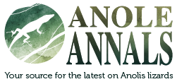 Anole Annals Logo 250px 72dpi – Anole Annals