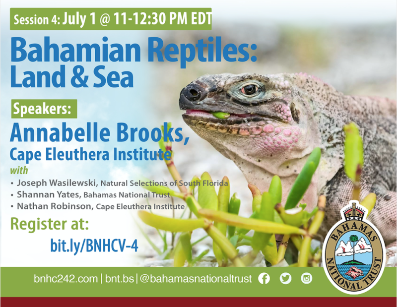 Sign Up for Bahamas Reptiles Webinar – Anole Annals